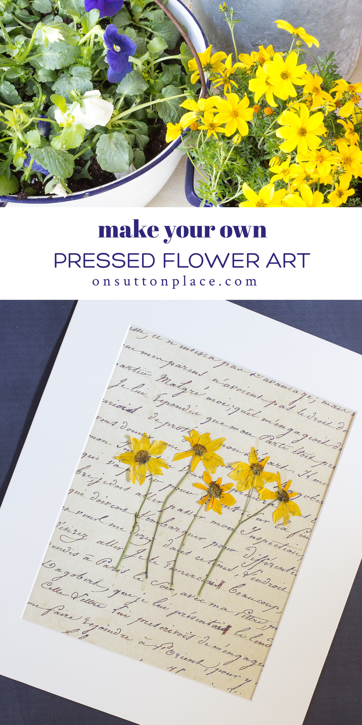 DIY Pressed Flower Art - On Sutton Place