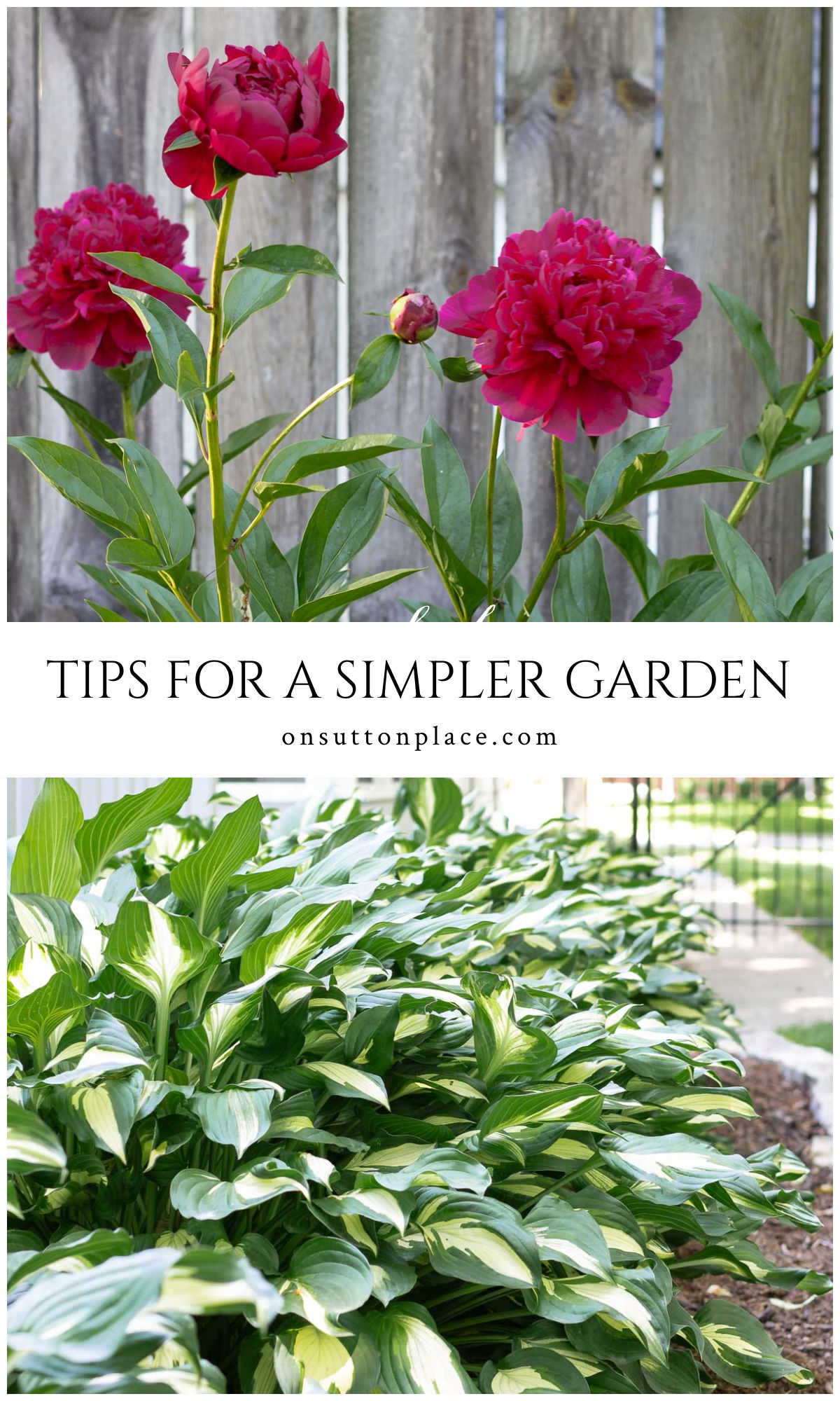 5 Tips for a Simpler Garden: Create a Beautiful Space With Ease
