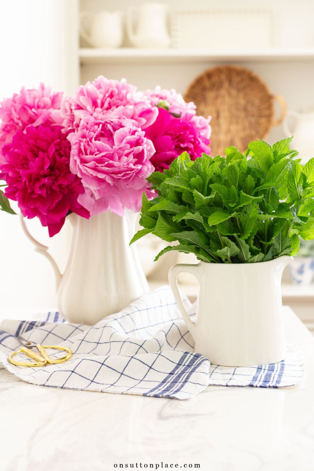 Mastering Peonies Care: A Complete How-To Guide - On Sutton Place