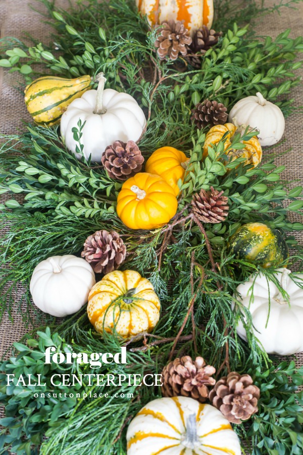Foraged Tabletop Decor for Fall - On Sutton Place