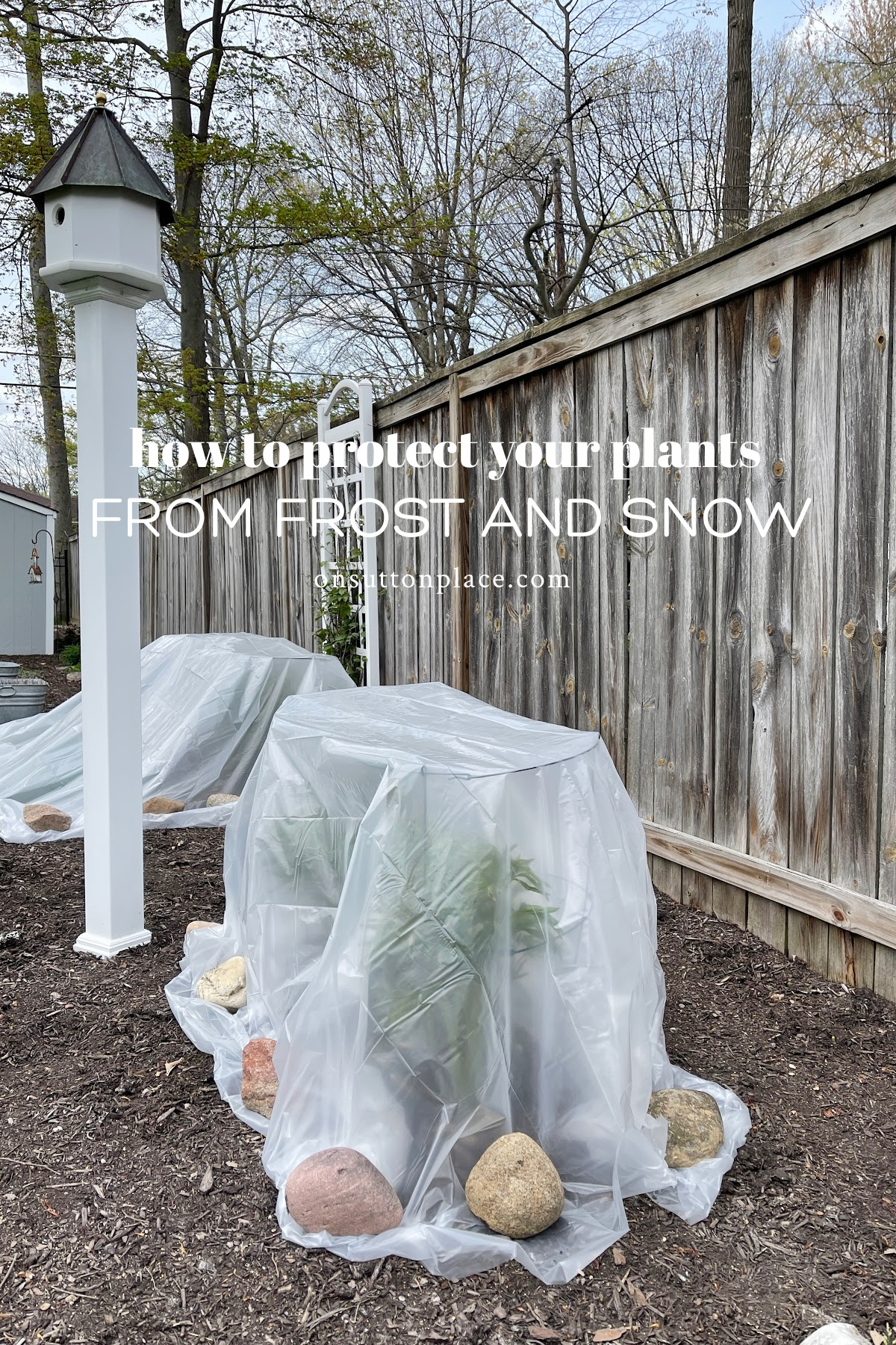 How to Protect Plants from Frost & Snow - On Sutton Place