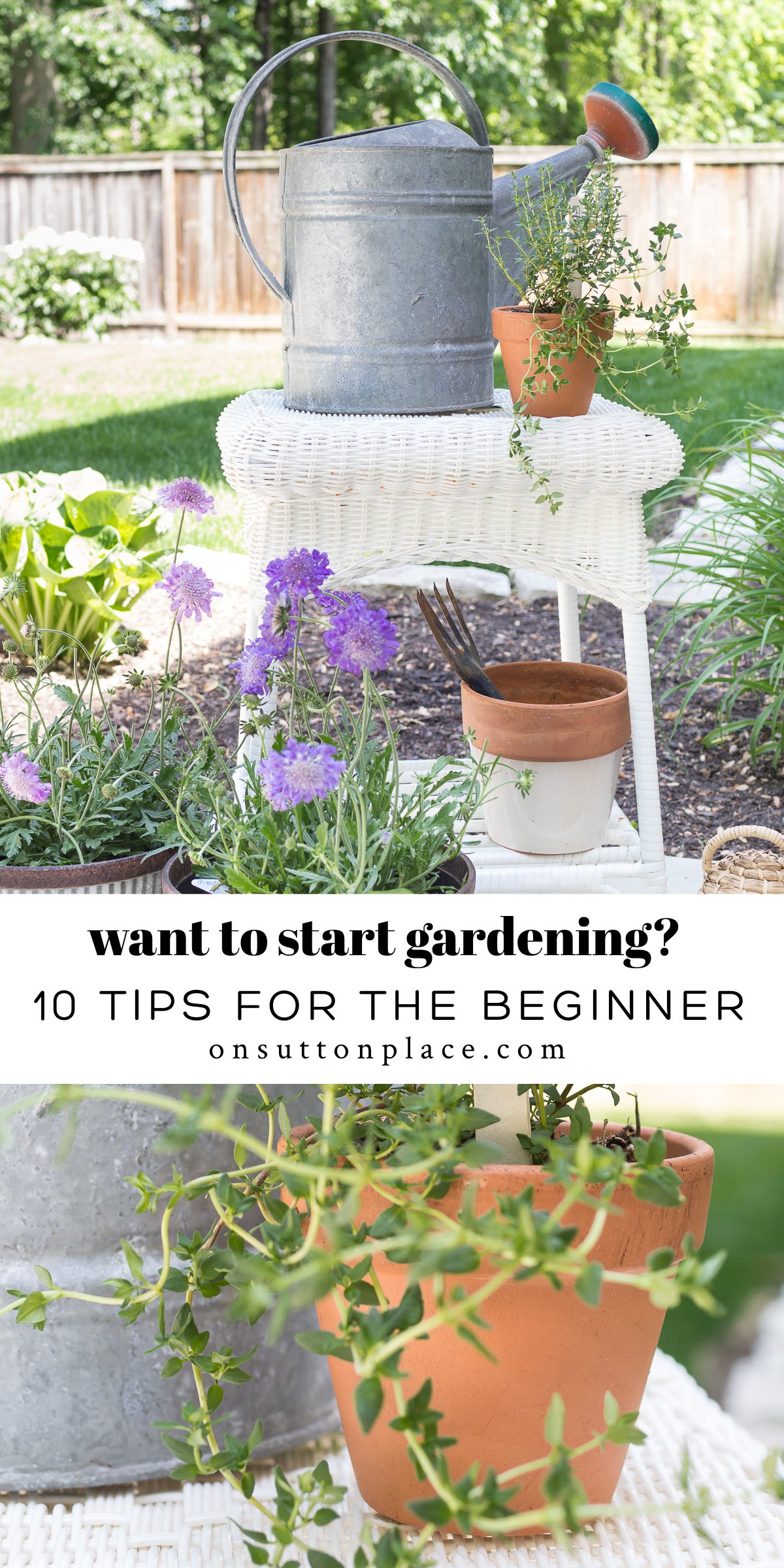 10 Gardening Tips for Beginners - On Sutton Place