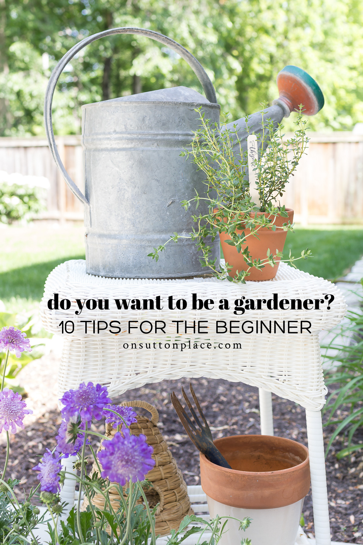 10 Gardening Tips for Beginners - On Sutton Place