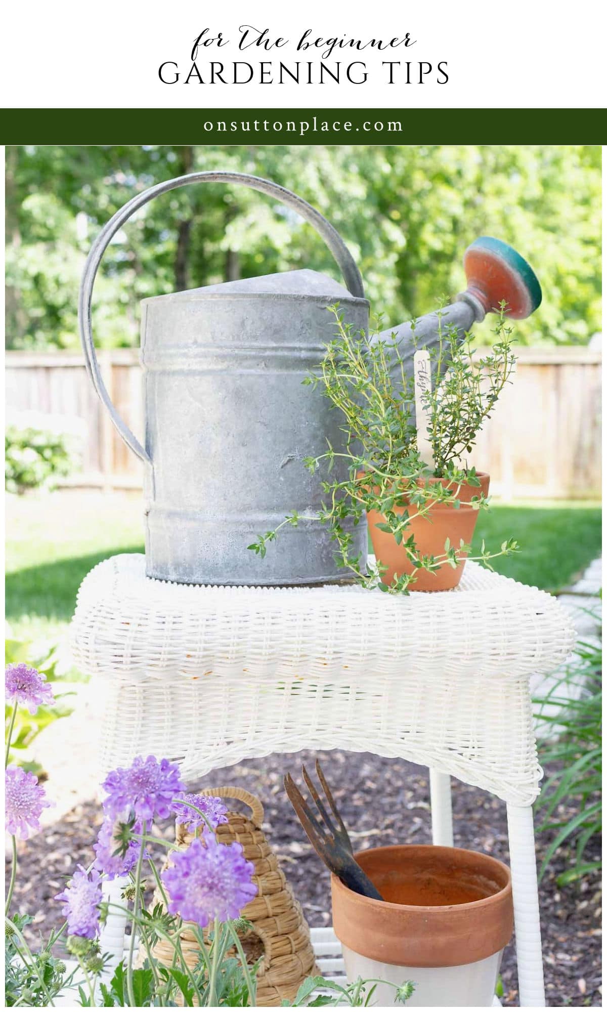 10 Gardening Tips for Beginners - On Sutton Place