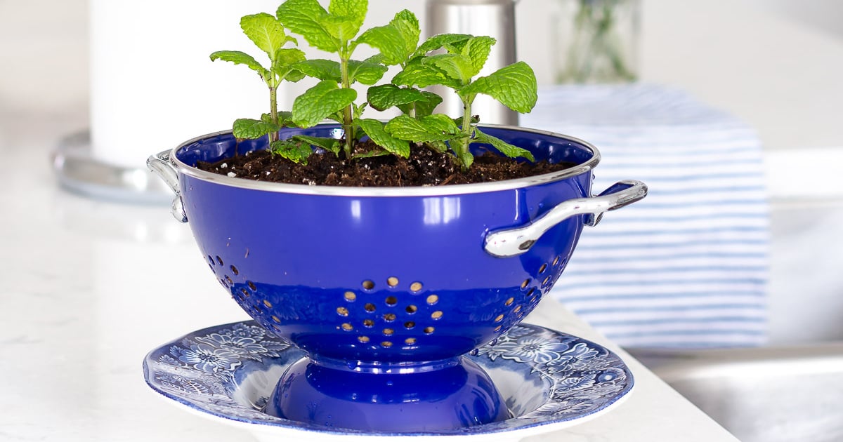 Attitude Reset: Tips For A Happier You - On Sutton Place