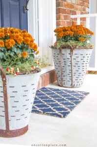 Fall Olive Bucket Mum Planters - On Sutton Place