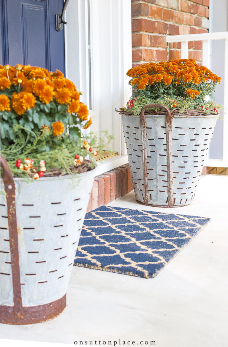 Fall Olive Bucket Mum Planters - On Sutton Place