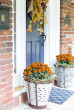 Fall Olive Bucket Mum Planters - On Sutton Place