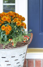 Fall Olive Bucket Mum Planters - On Sutton Place