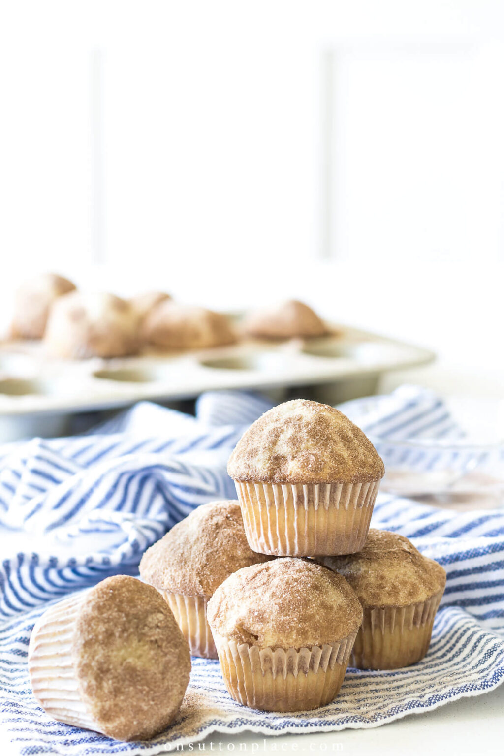 Cinnamon Muffins or Quick Bread - On Sutton Place