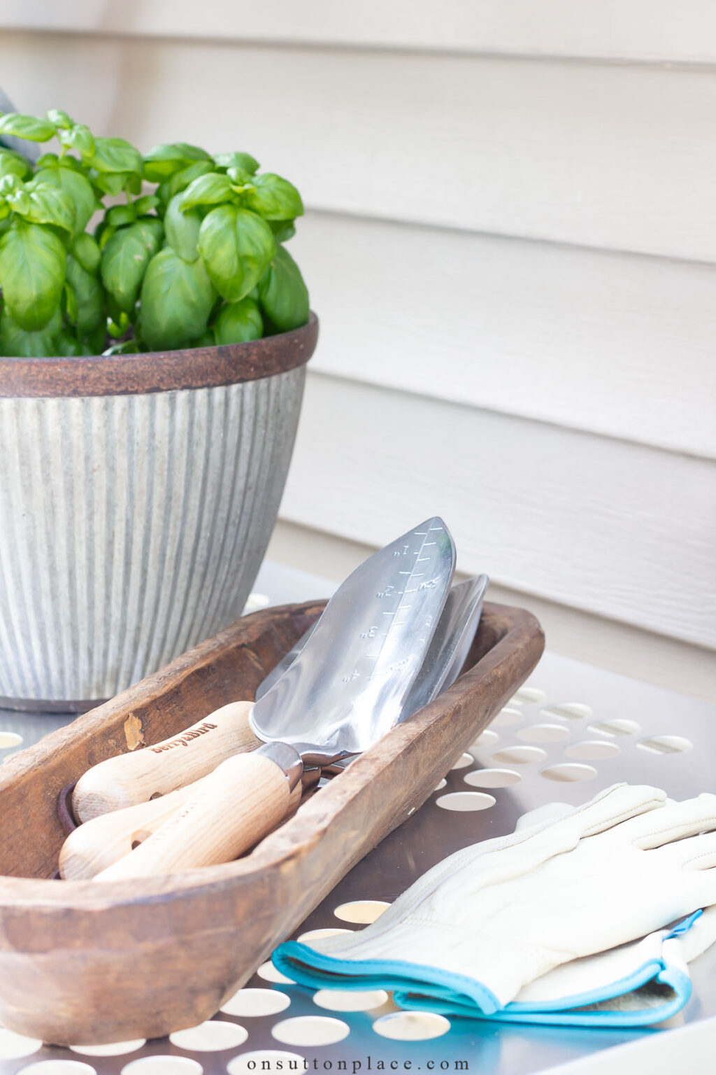 10 Gardening Tips for Beginners - On Sutton Place
