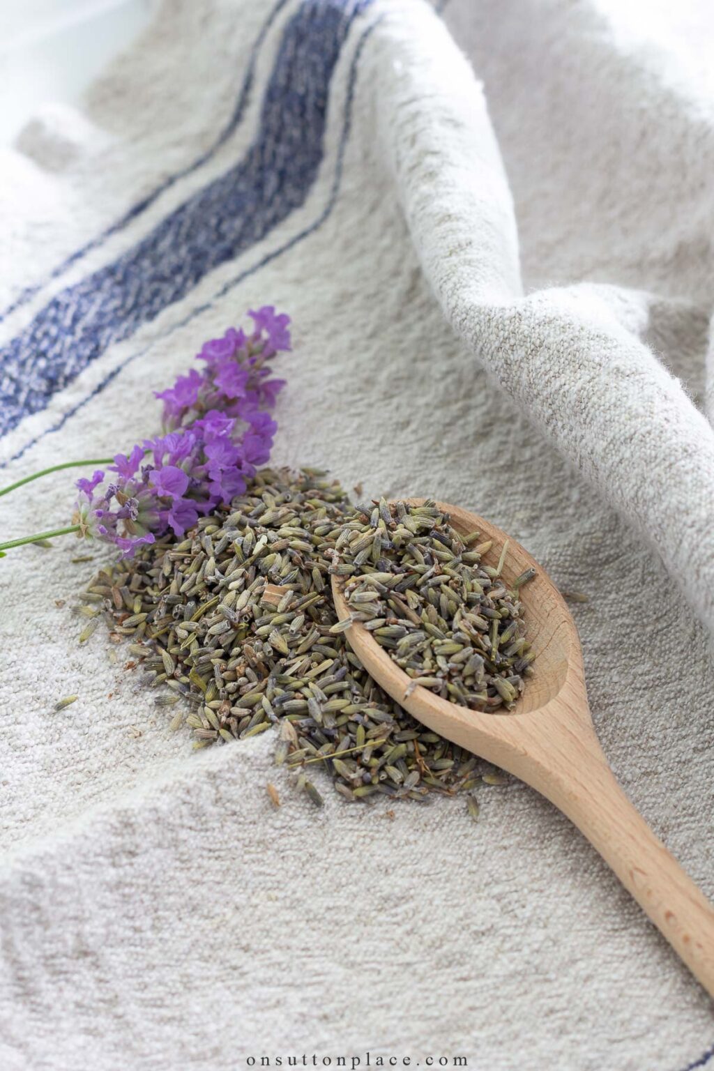 Lavender Syrup Recipe - On Sutton Place