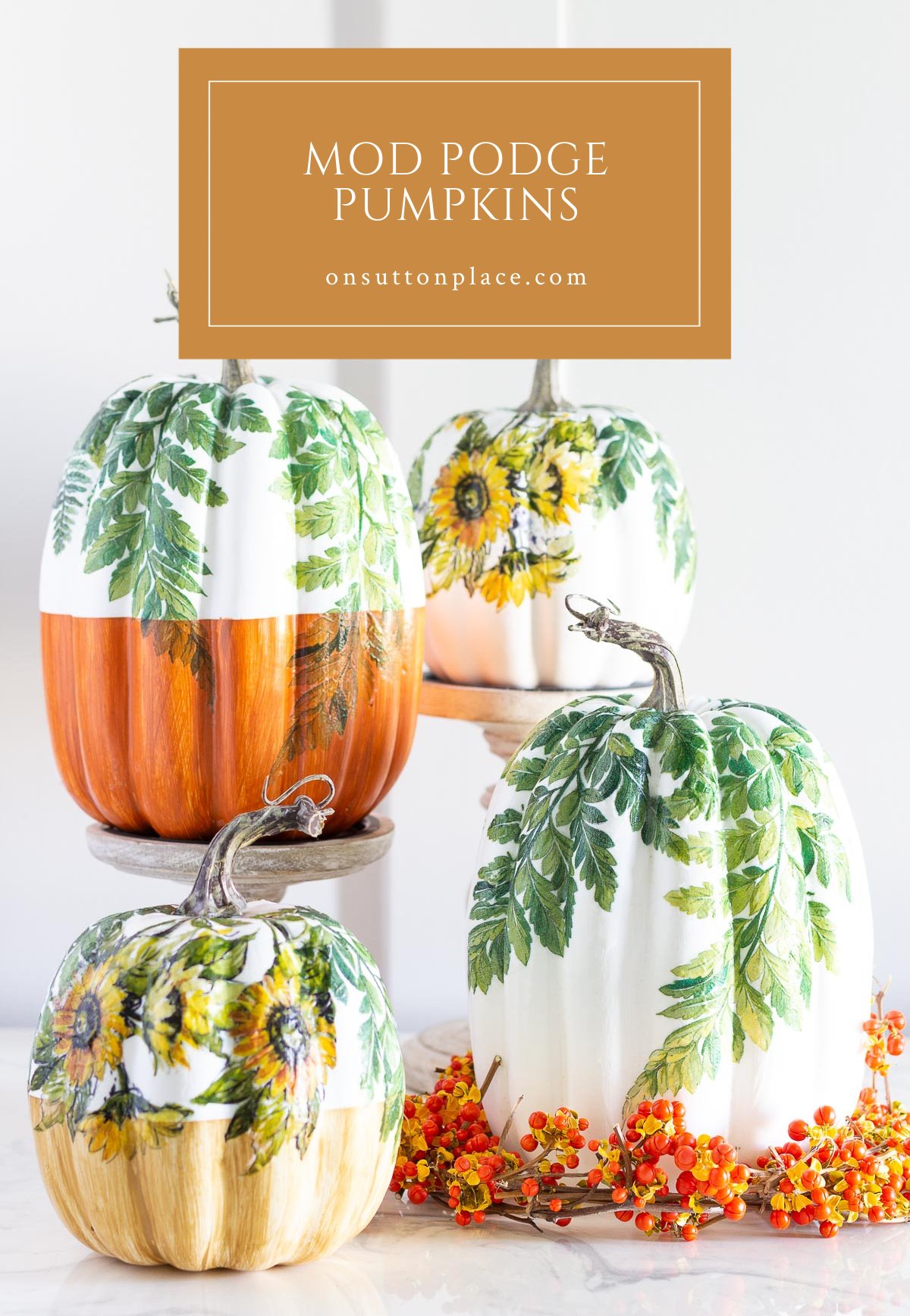 DIY Mod Podge Painted Pumpkins - On Sutton Place