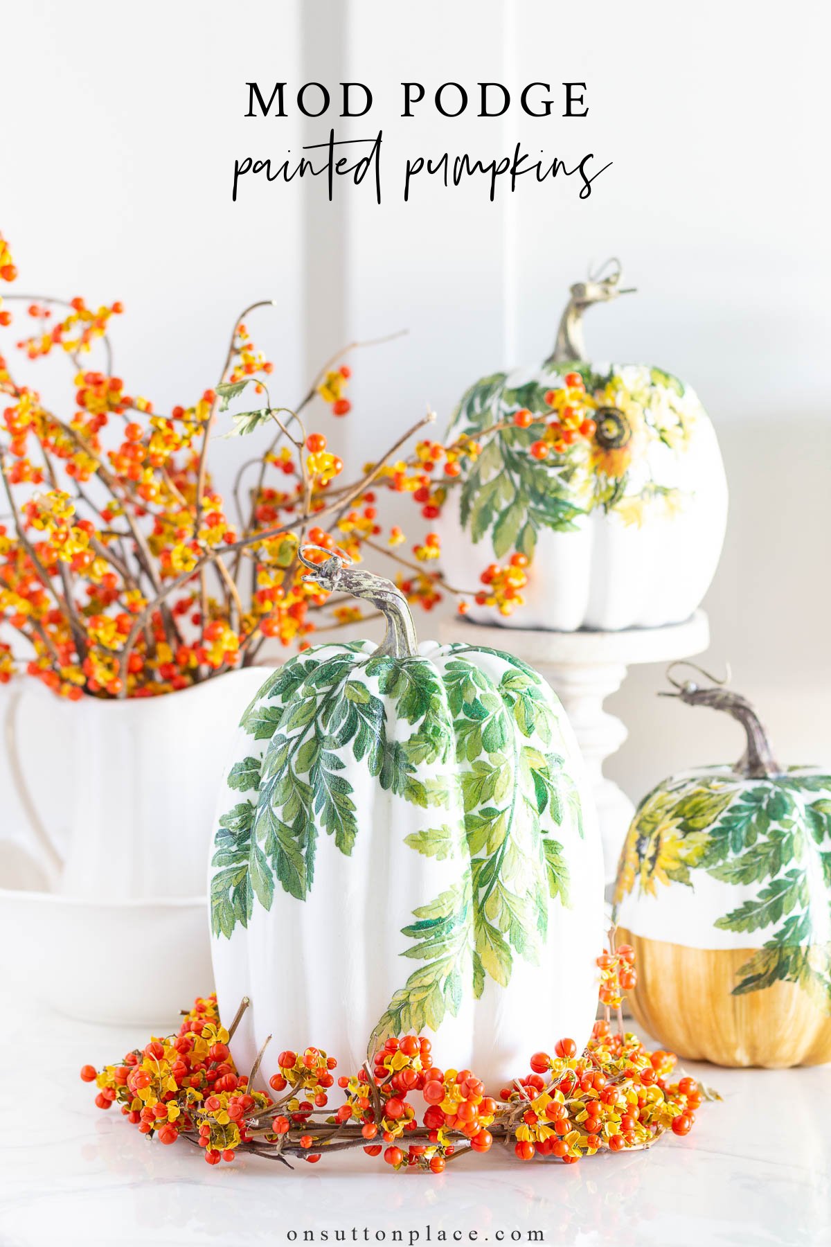 DIY Mod Podge Painted Pumpkins - On Sutton Place
