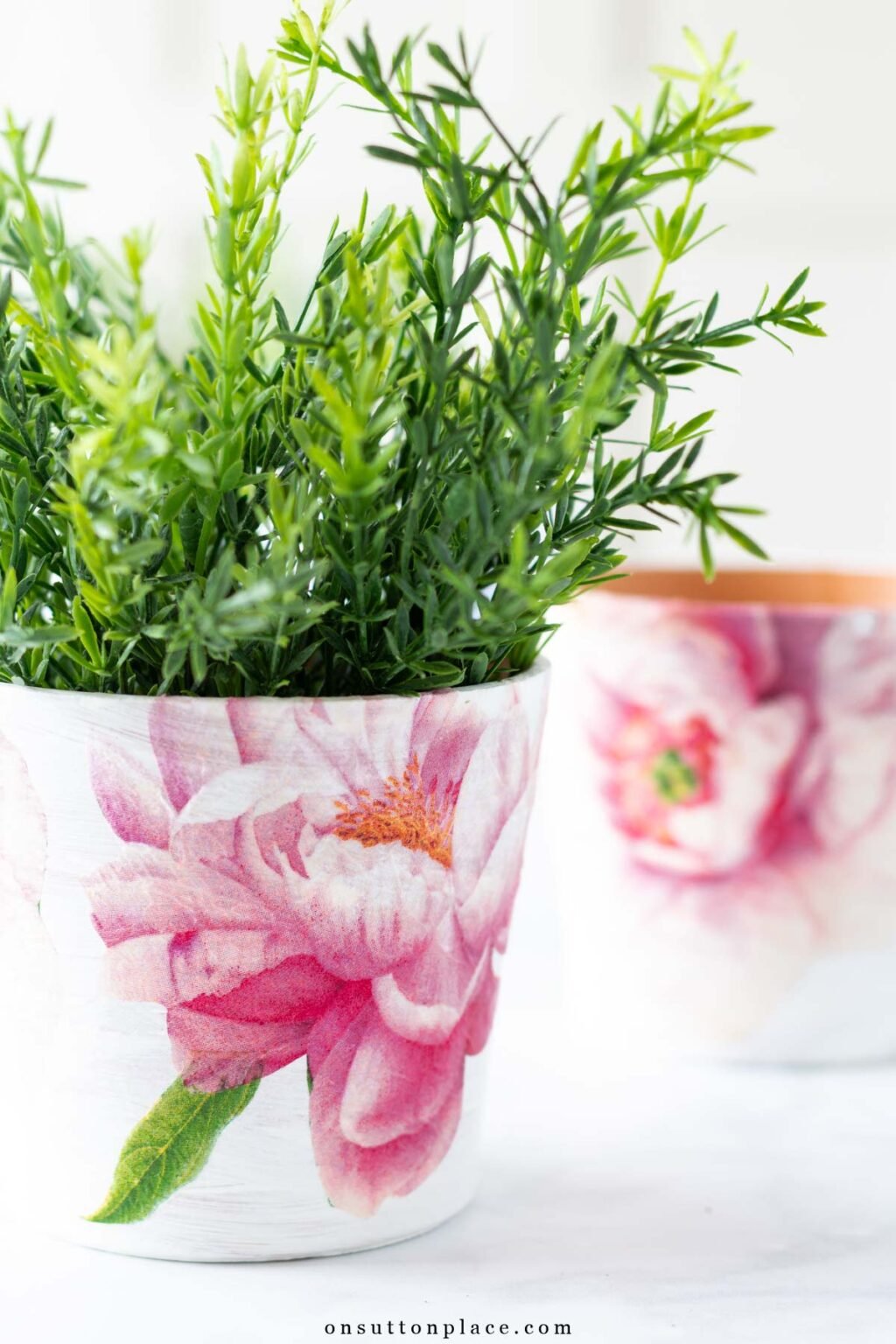 DIY Mod Podge Terra Cotta Pots - On Sutton Place