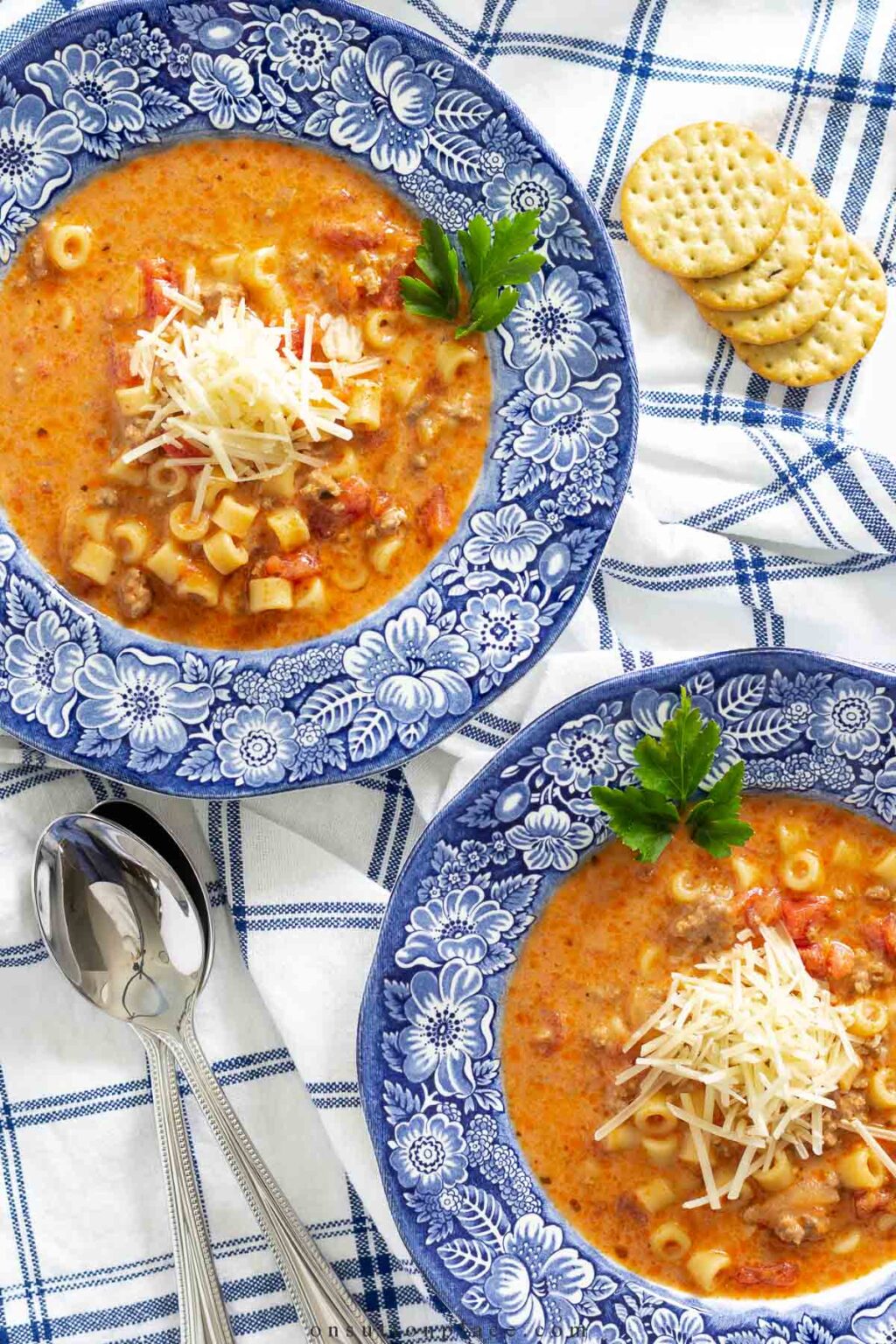 Easy One Pot Spaghetti Soup Recipe - On Sutton Place