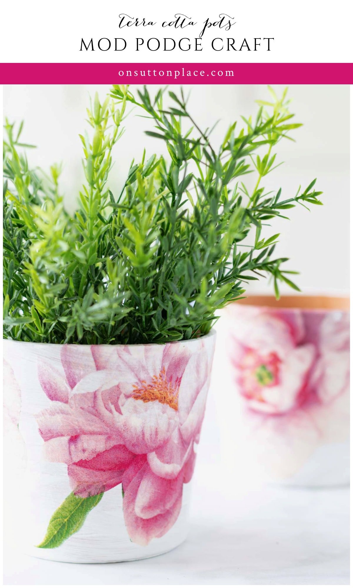 DIY Mod Podge Terra Cotta Pots - On Sutton Place