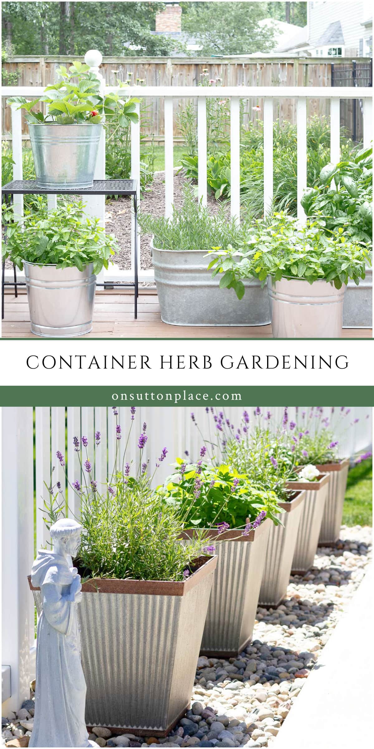 Creative Container Herb Garden Ideas for Every Space