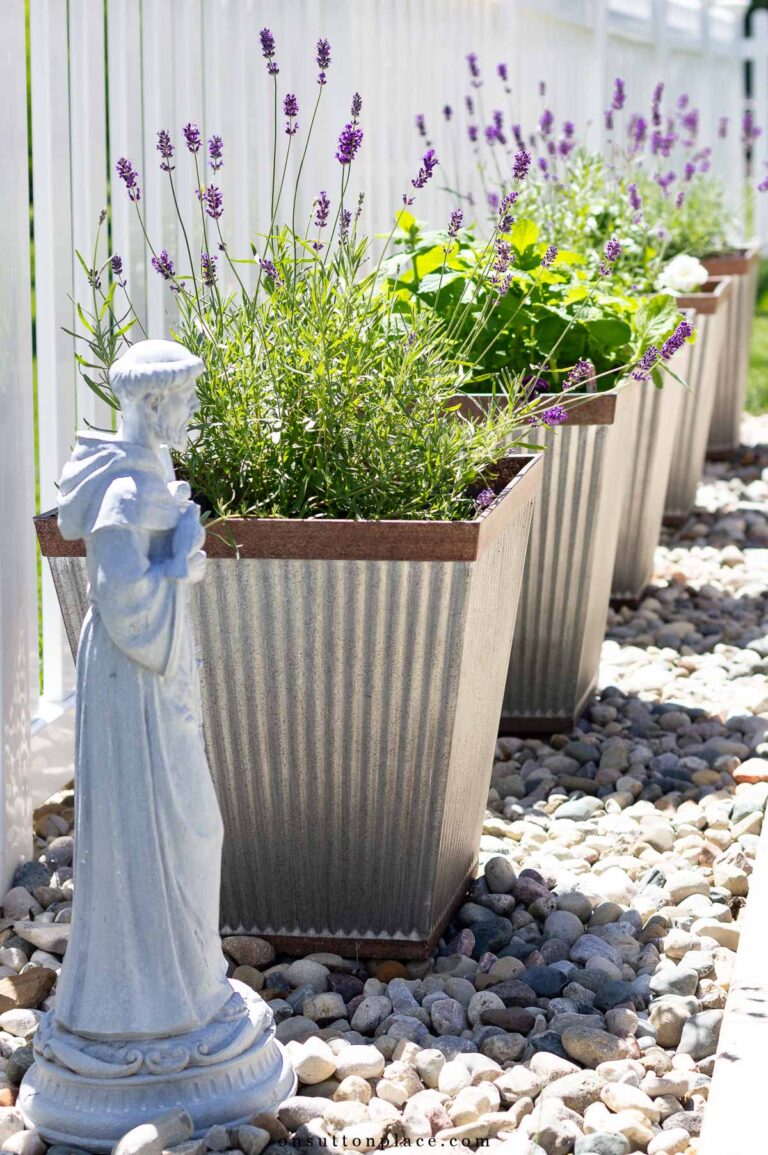 Small Patio Container Garden Ideas - On Sutton Place