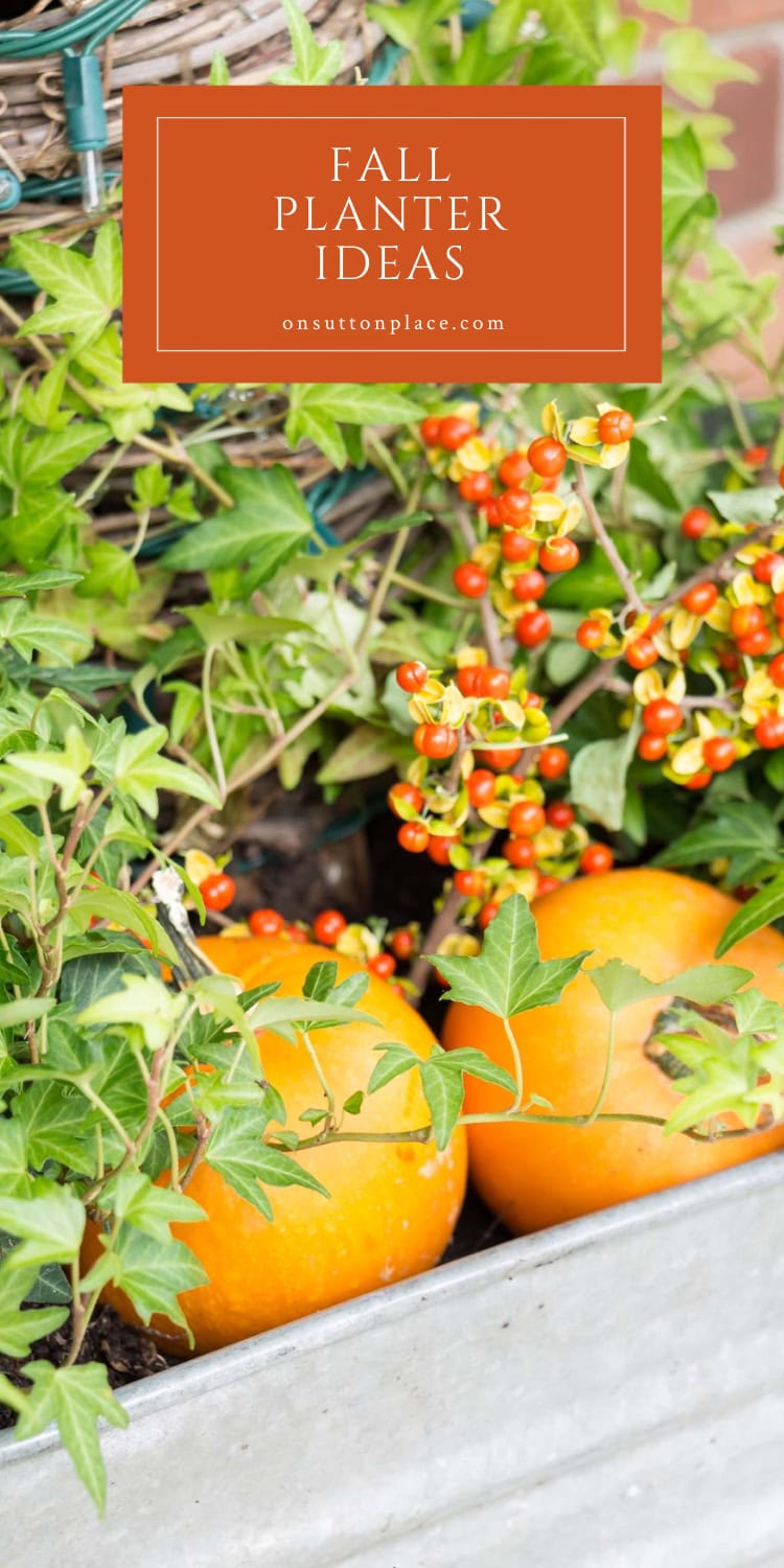 10 Fall Planter Ideas - On Sutton Place