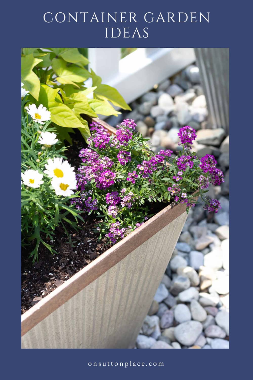 Container Garden Ideas With Annuals - On Sutton Place