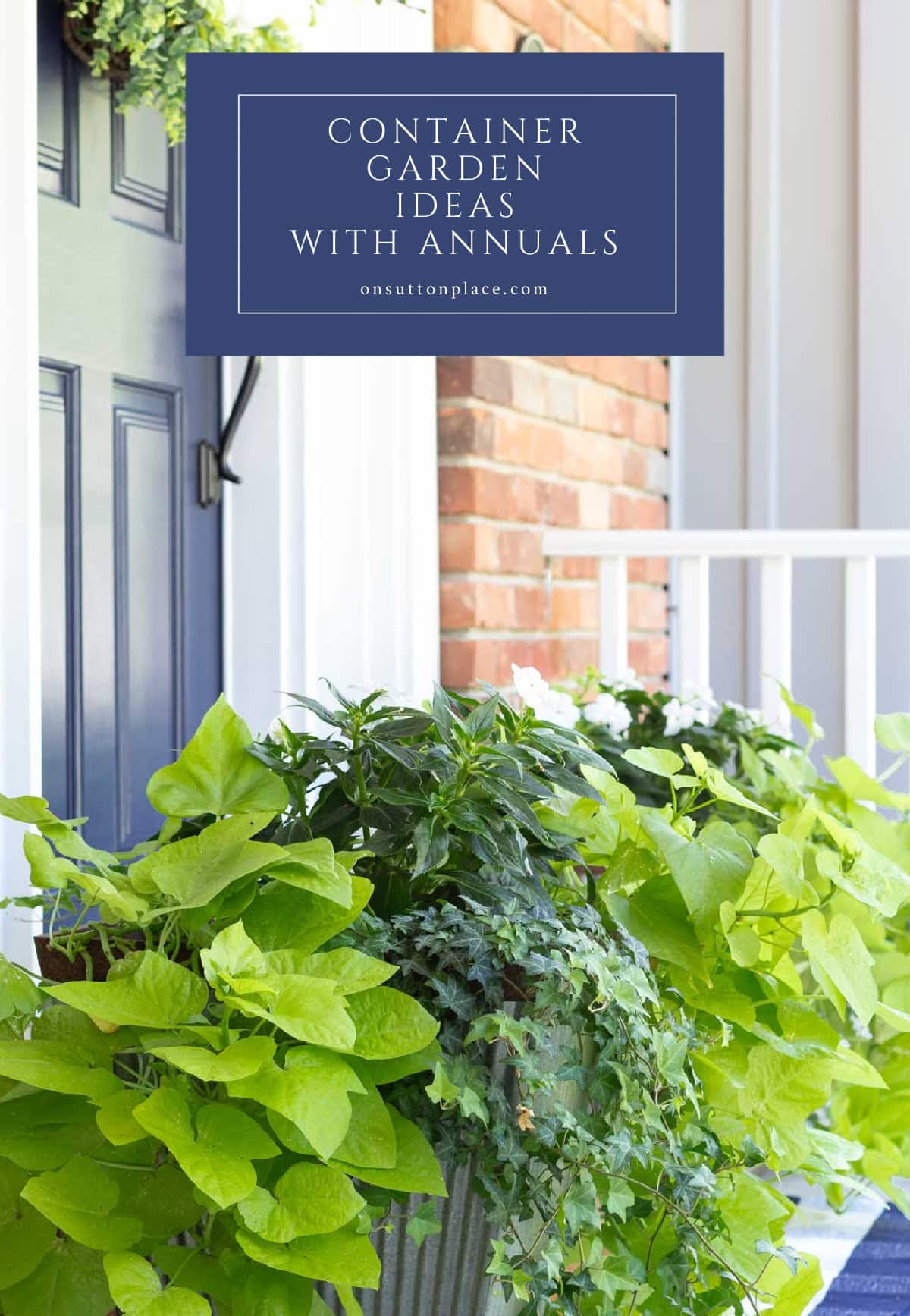 Container Garden Ideas With Annuals - On Sutton Place