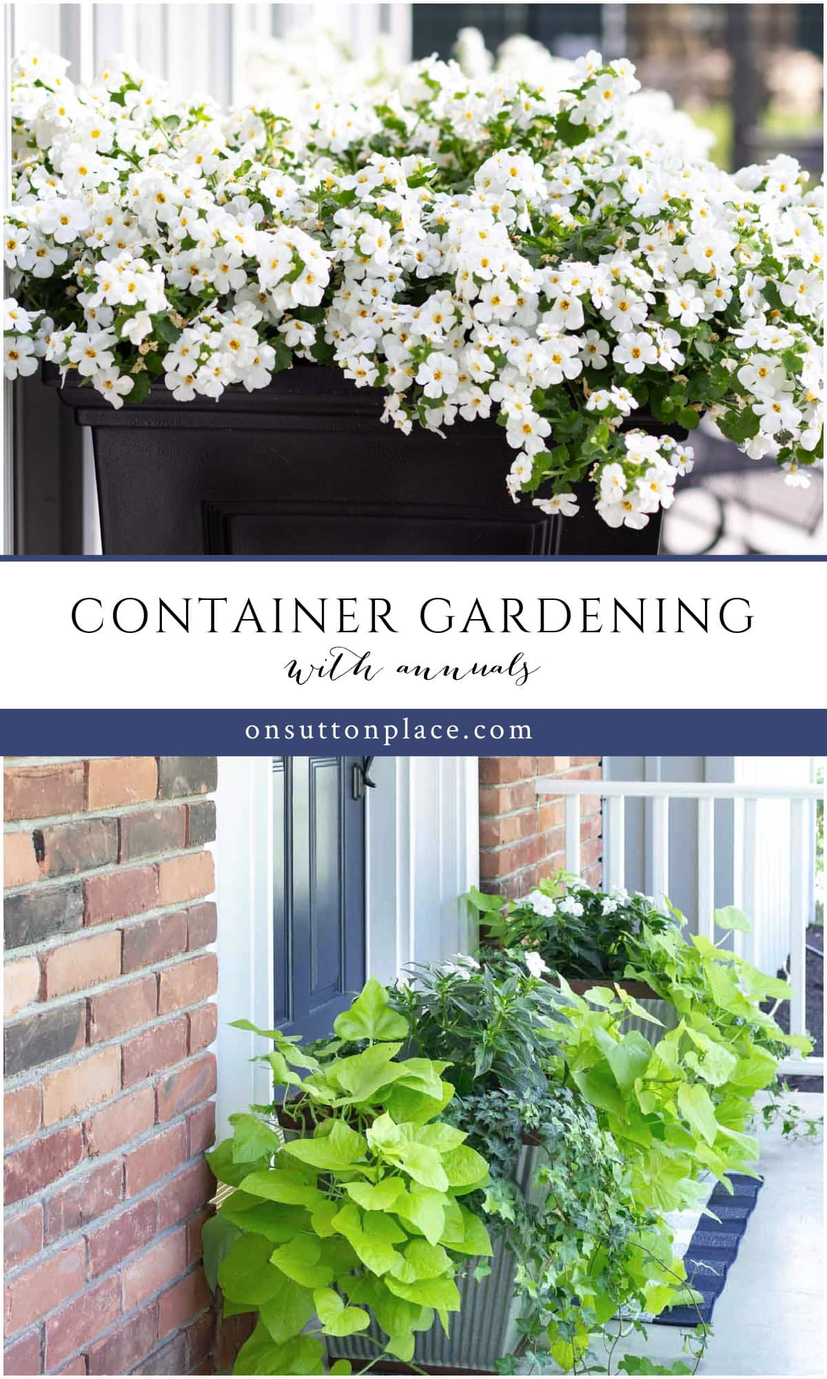 Container Garden Ideas With Annuals - On Sutton Place
