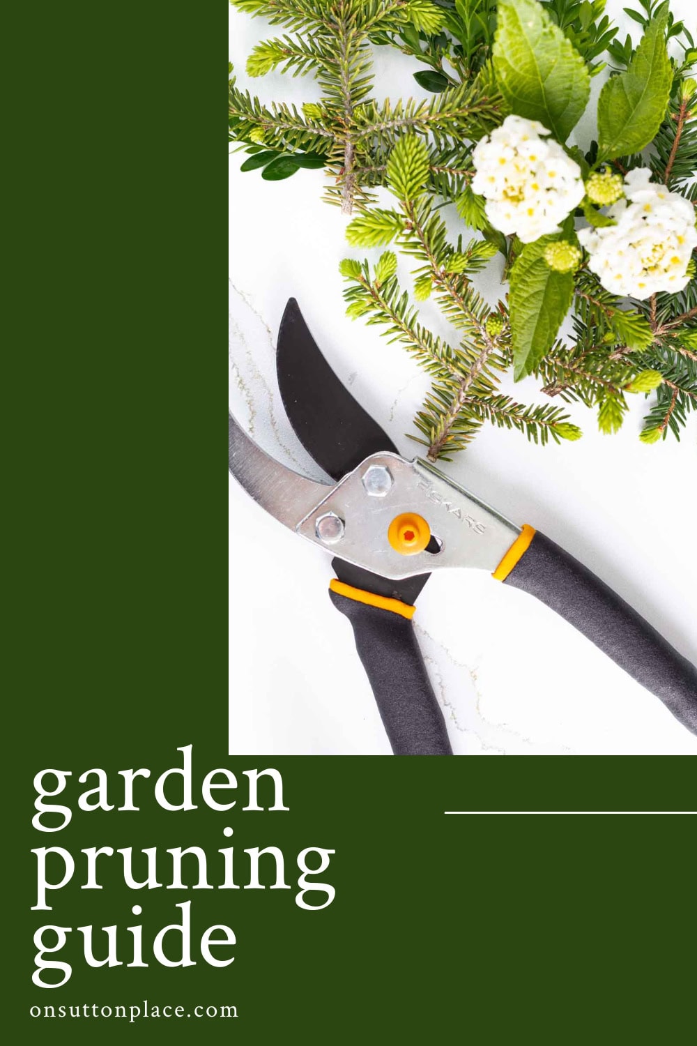 Garden Pruning Guide: What to Prune & When - On Sutton Place