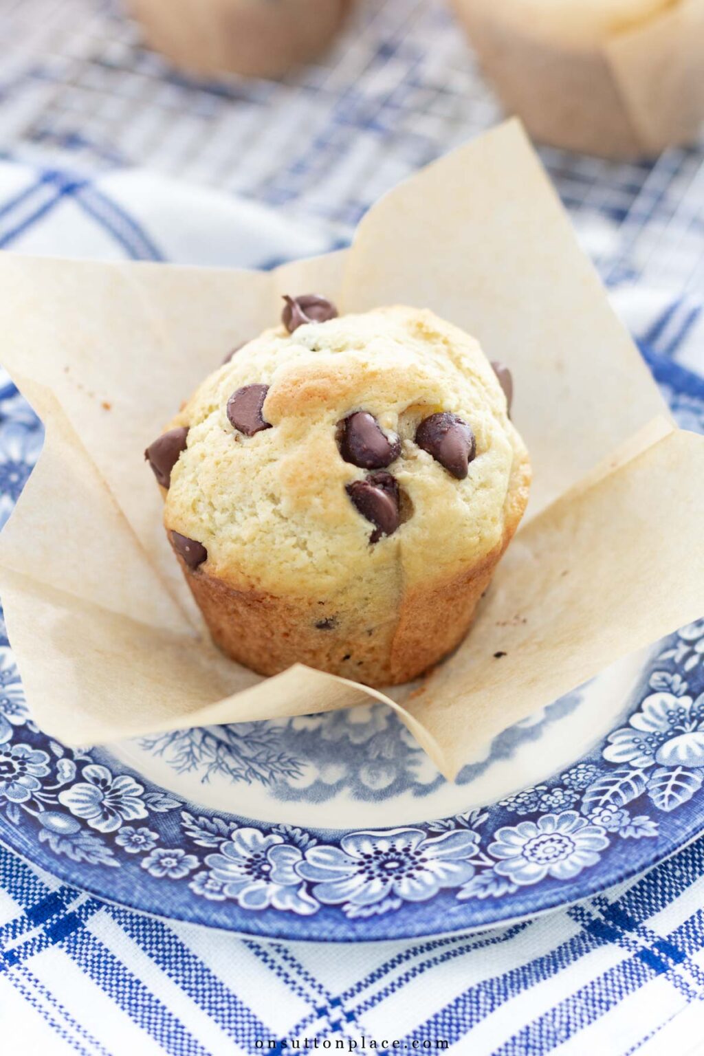 Moist Chocolate Chip Muffins Recipe - On Sutton Place