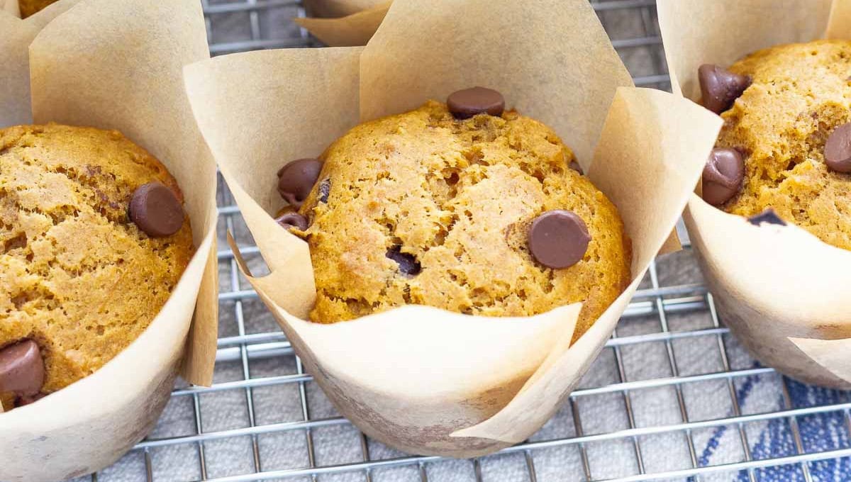 Pumpkin Chocolate Chip Muffins Recipe - On Sutton Place